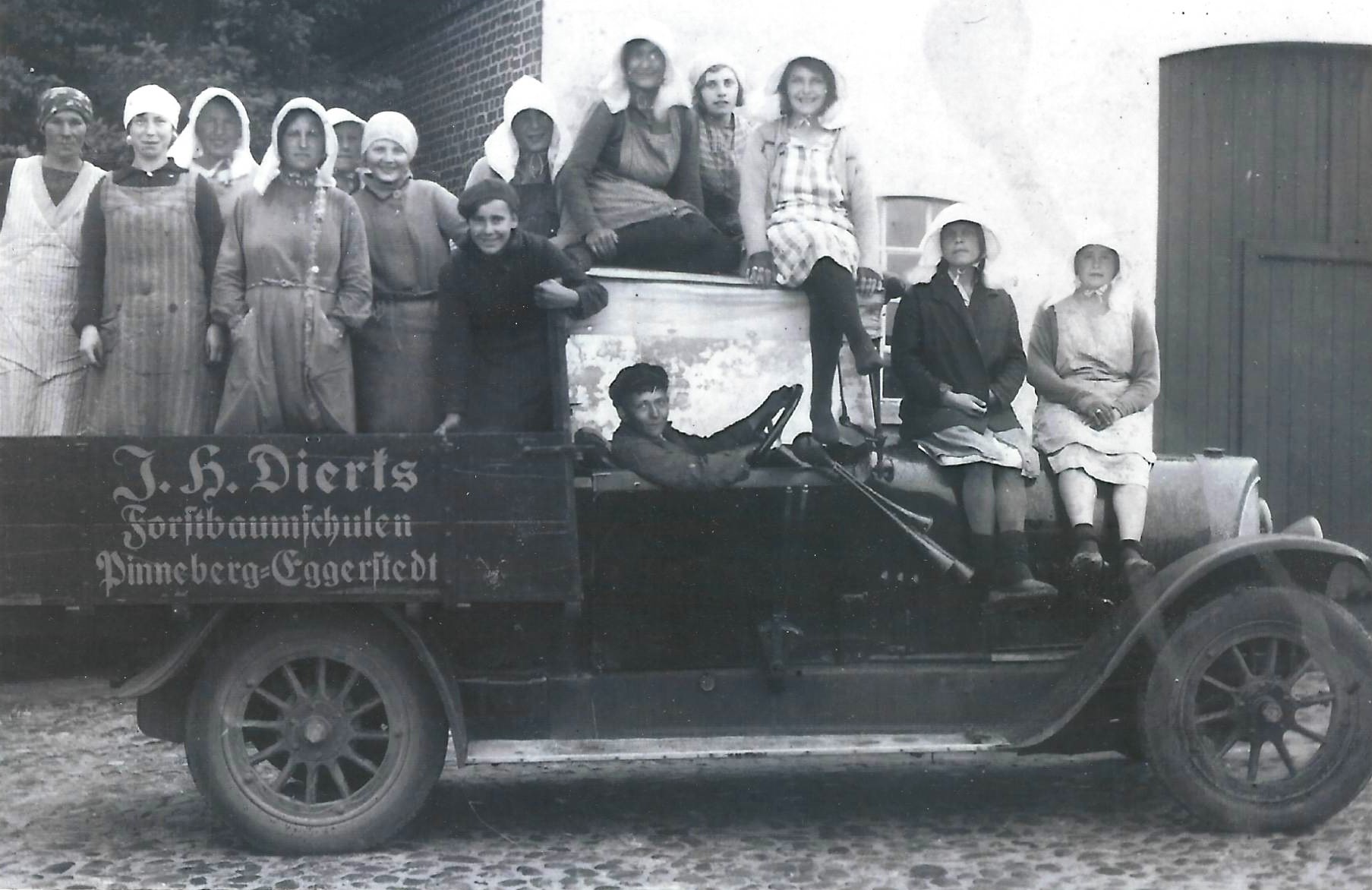 ÜBER UNS - Diercks Garten und Landschaft GmbH